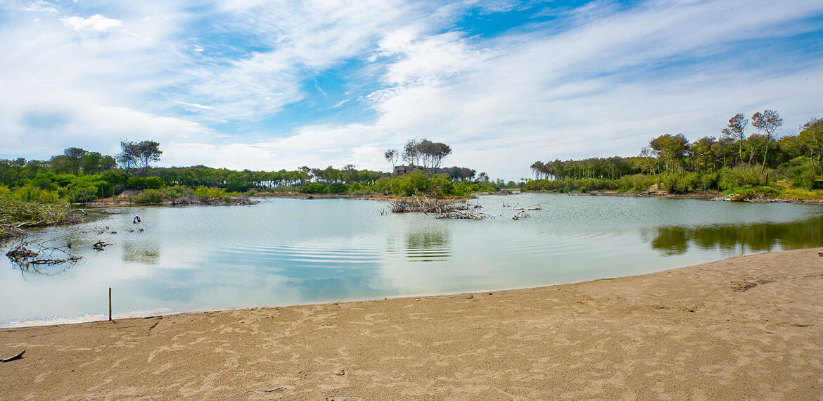 Novità / Homepage - Città di Ginosa